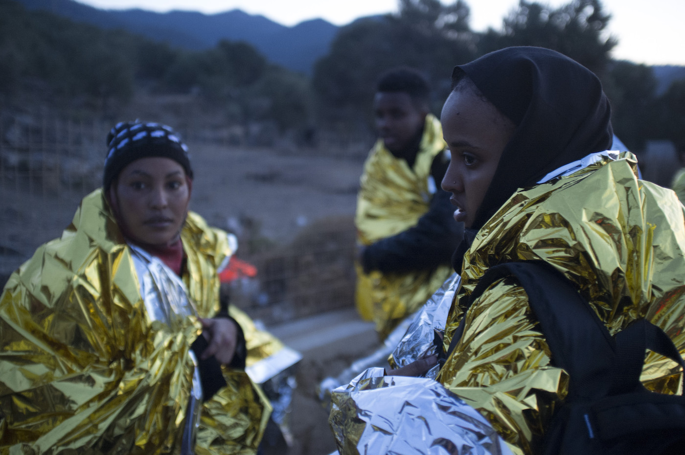 Reach - Novecaringhumans